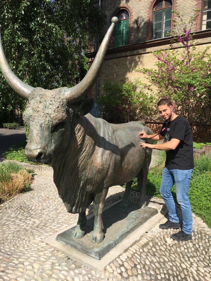 Balogh Dániel - Állatorvostudományi Egyetem Budapest
