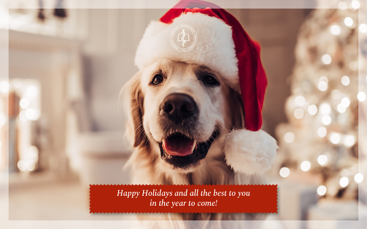 Wish You Happy Holidays - University of Veterinary Medicine Budapest